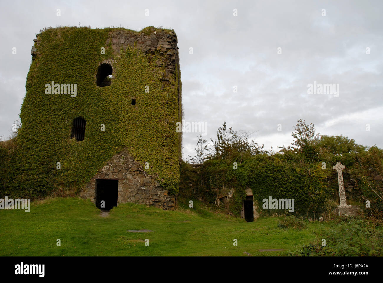 cross, ruin, scotland, tower, historical, monument, tree, trees, cross ...