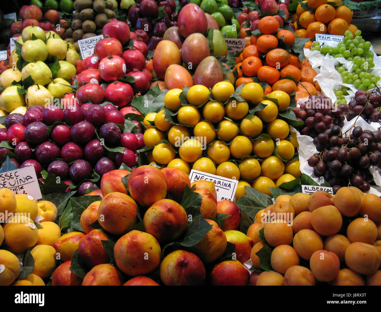 food, aliment, coloured, colourful, gorgeous, multifarious, richly ...