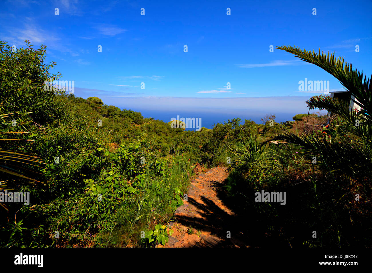 hike, go hiking, ramble, atlantic ocean, salt water, sea, ocean, water ...