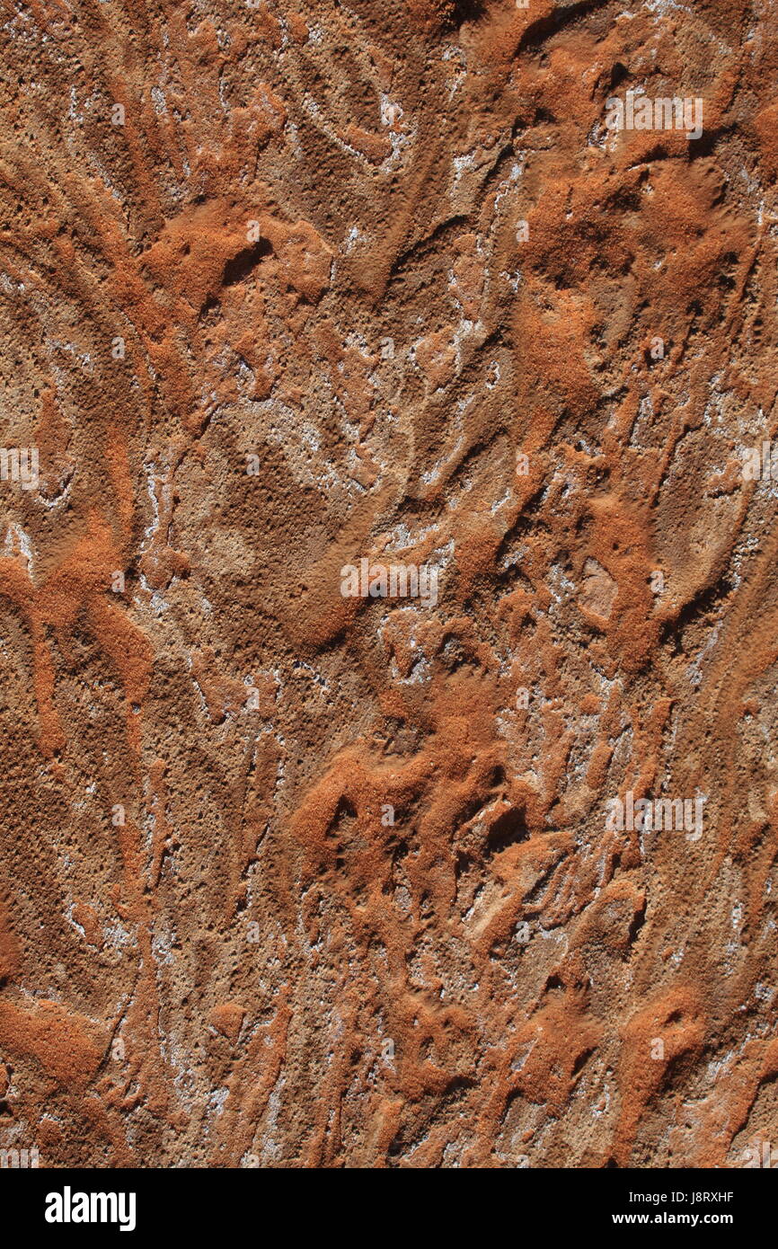 ground, soil, earth, humus, dryness, dry, dried up, barren, climate ...