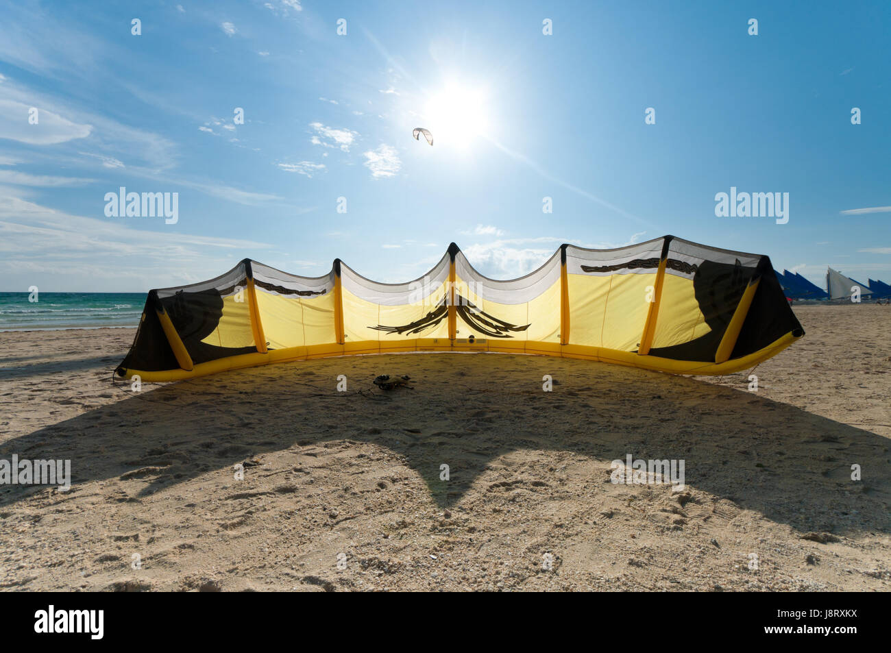 beach, seaside, the beach, seashore, salt water, sea, ocean, water ...