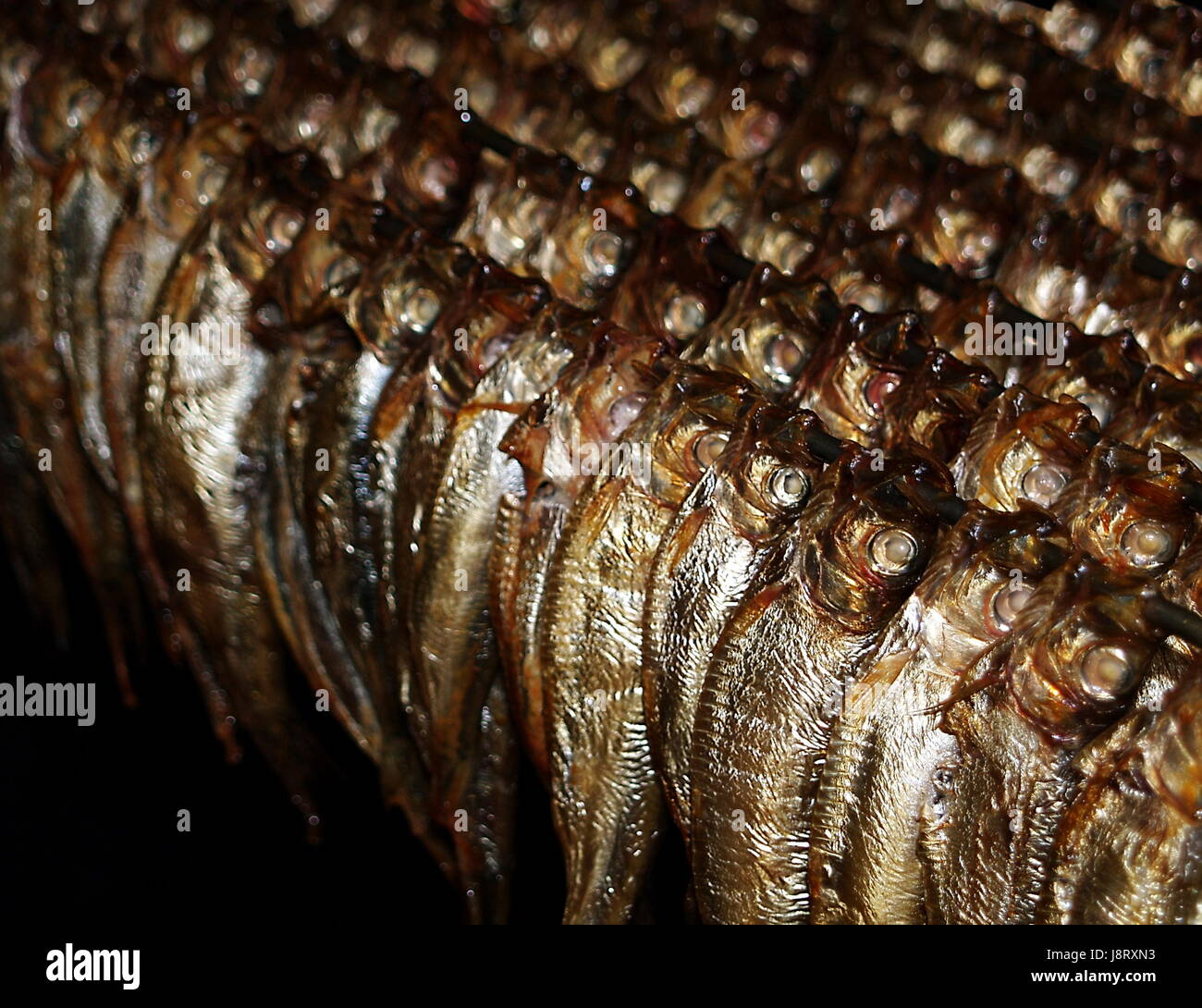 fish, fishing, herring, smoked, smoke, fish dish, fresh, healthy, food ...