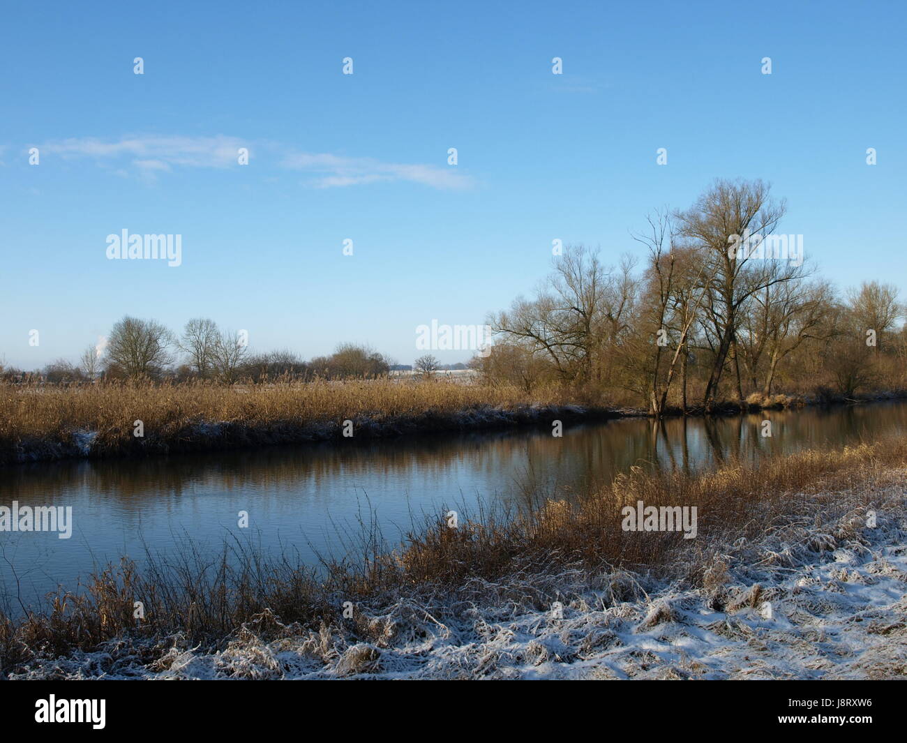 tree, winter landscape, reed, snow, bank, river, water, shore, blue ...