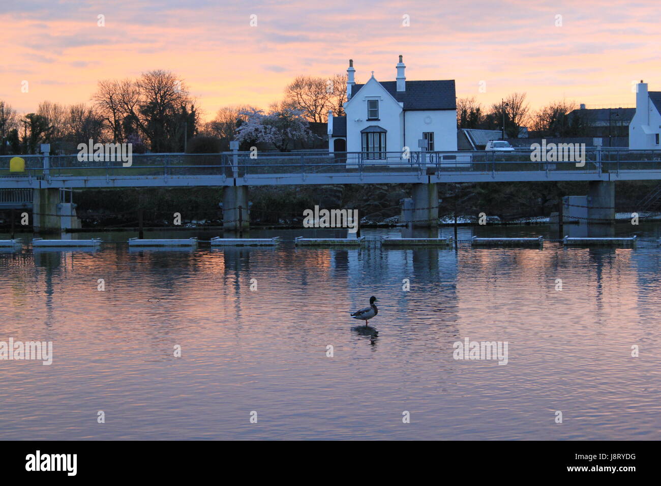 sunset, reflection, evening, ireland, river, water, buildings, tree ...