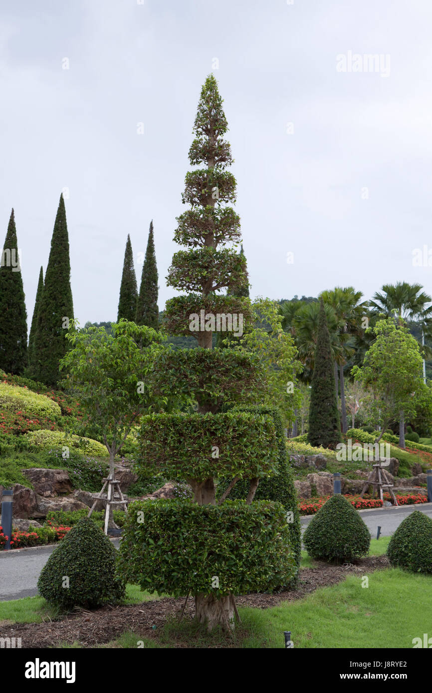 tree, park, garden, parkway, gardens, flower garden, nature, detail ...