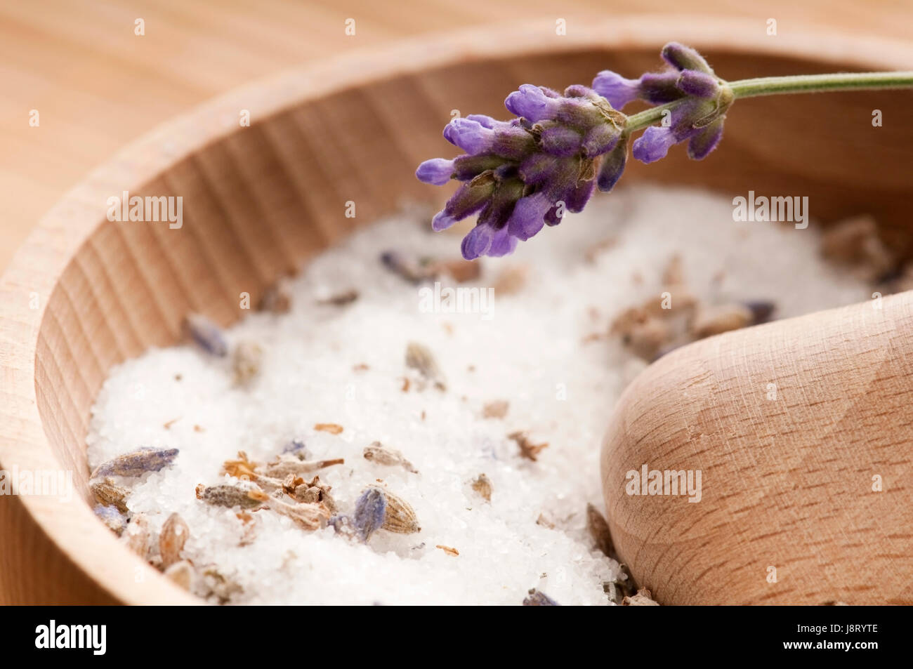 sweet, flower, plant, sugar, lavender, ingredients, herb, food, aliment ...