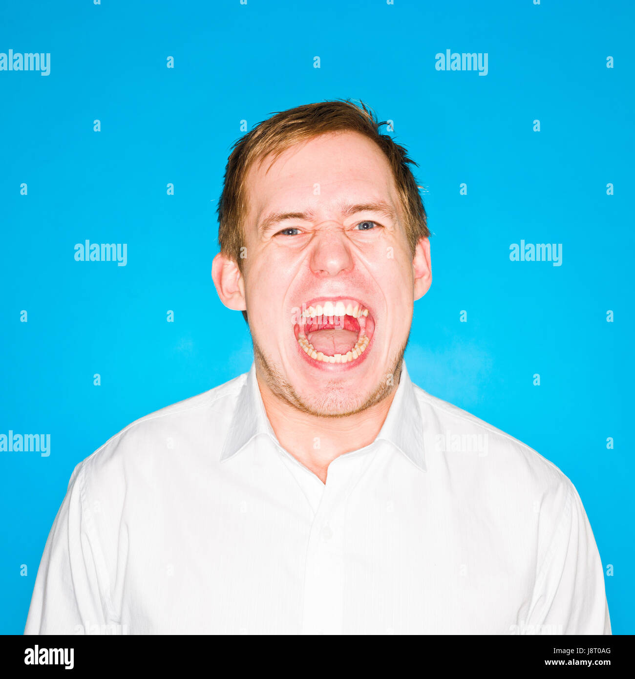 humans, human beings, people, folk, persons, human, human being, men ...