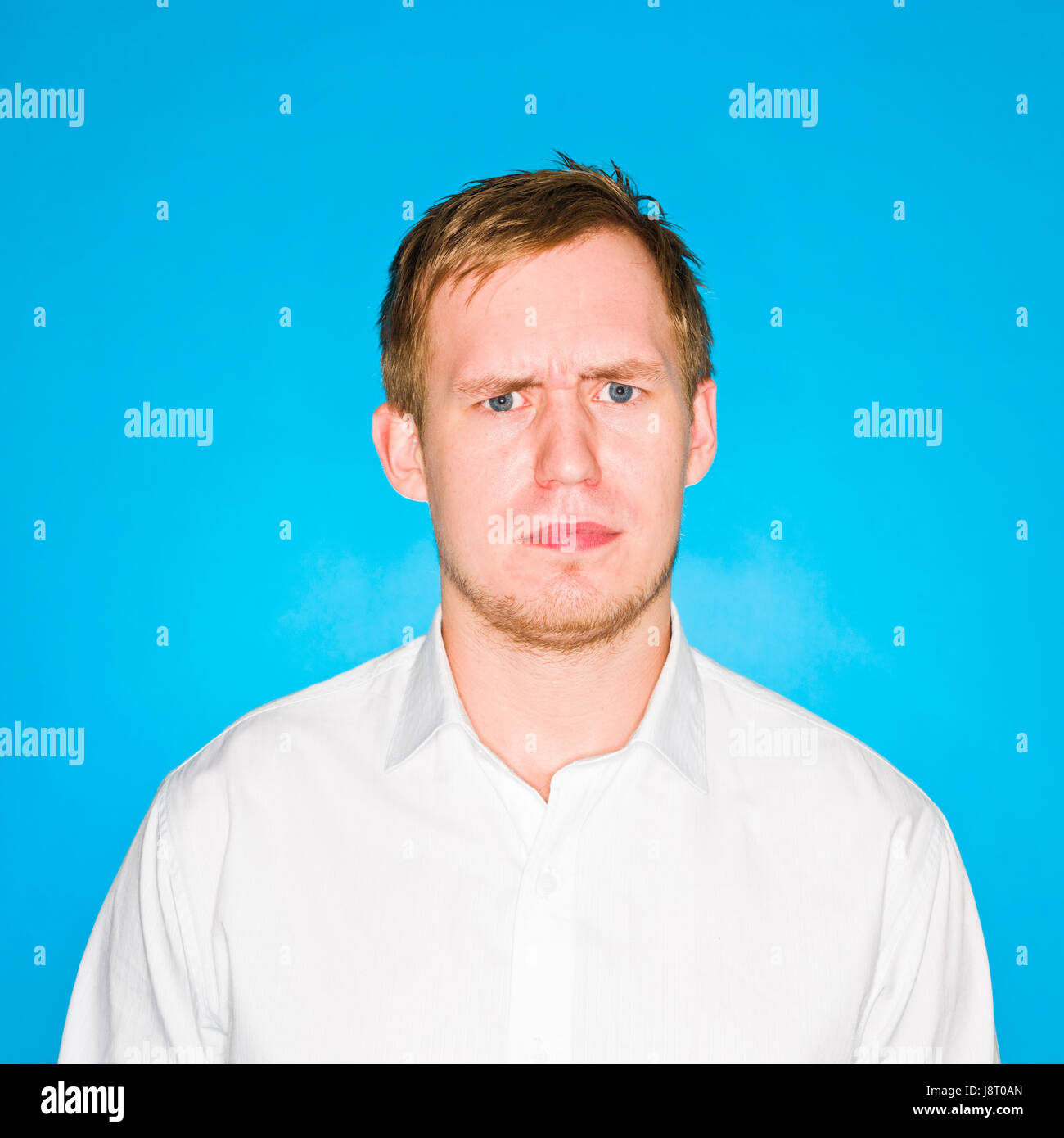 humans, human beings, people, folk, persons, human, human being, men ...