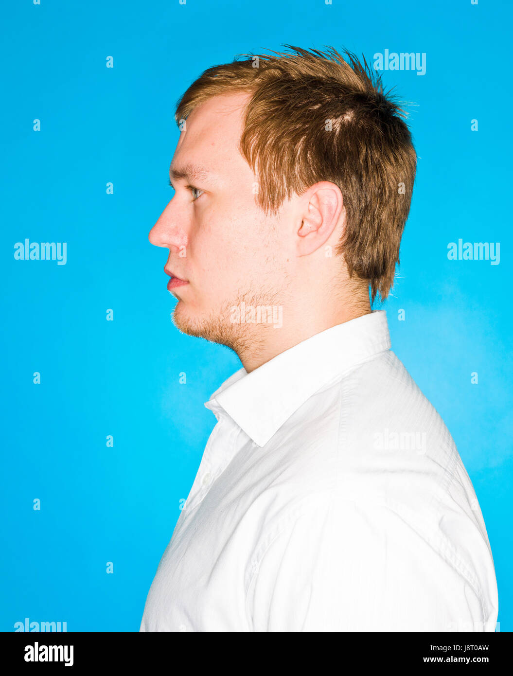 humans, human beings, people, folk, persons, human, human being, men ...