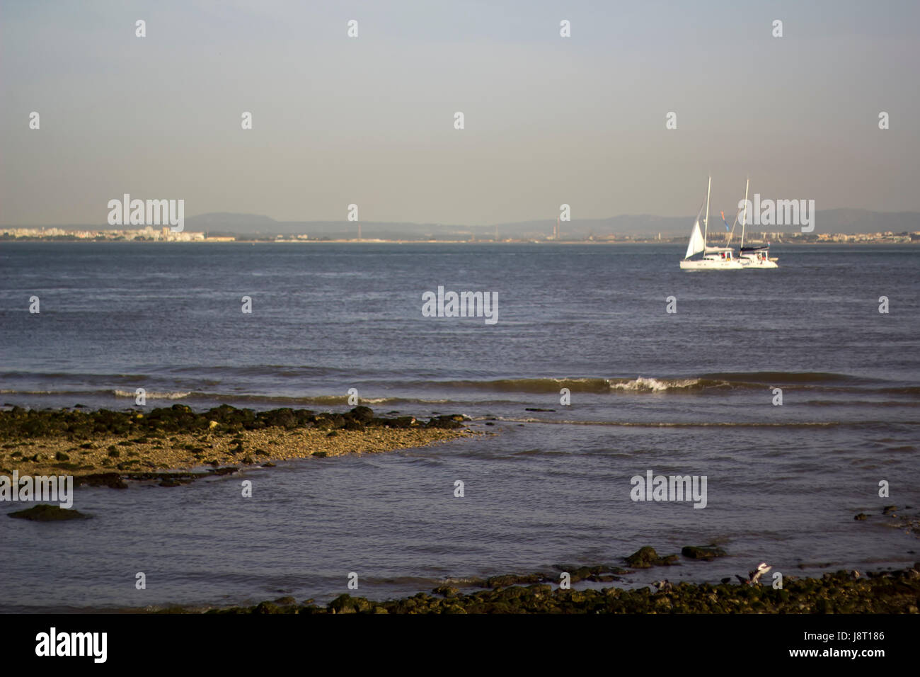 Boats on river tejo hi-res stock photography and images - Alamy