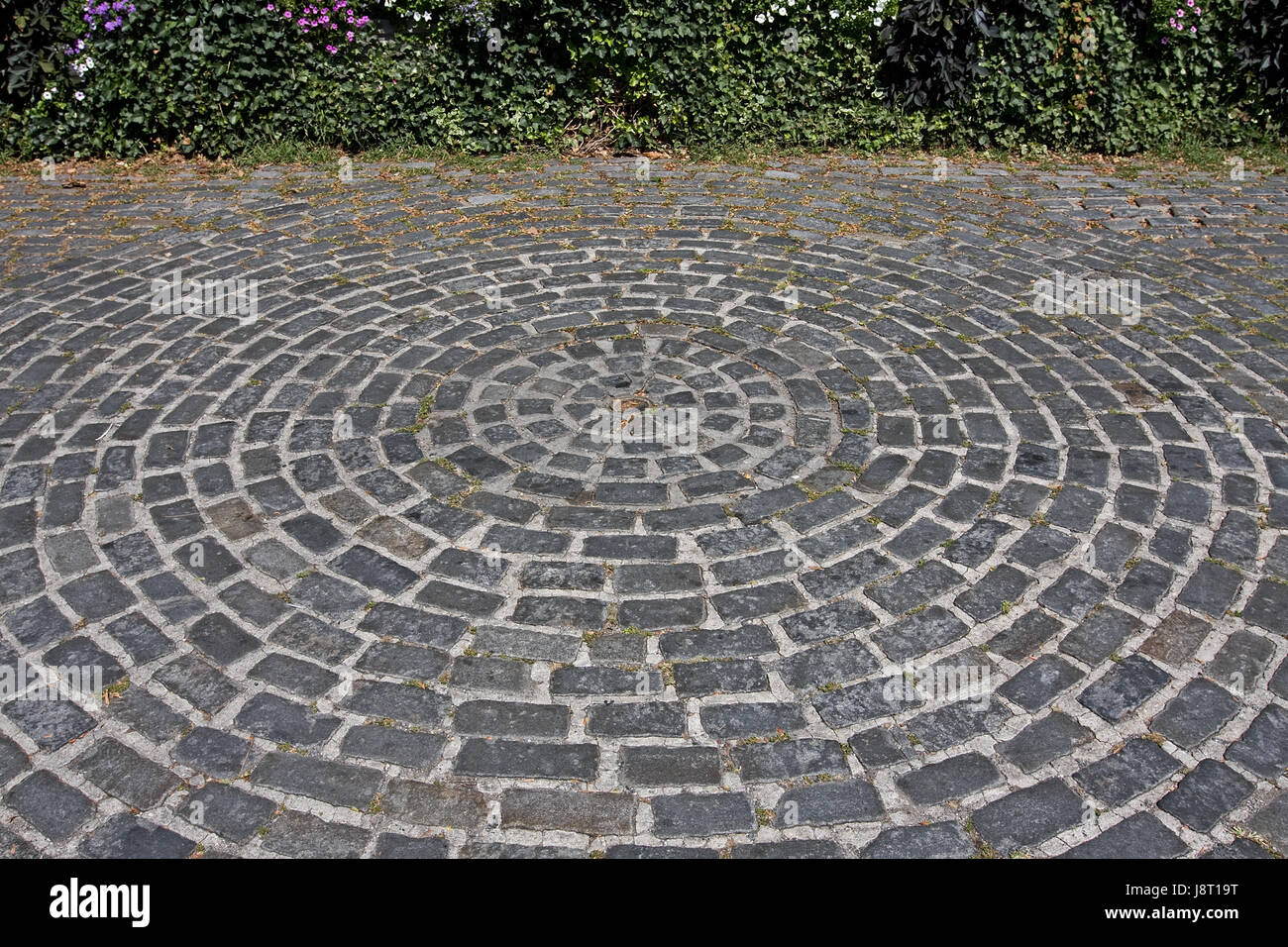 close, detail, park, stone, pavement, square, spiral, shape, hard ...