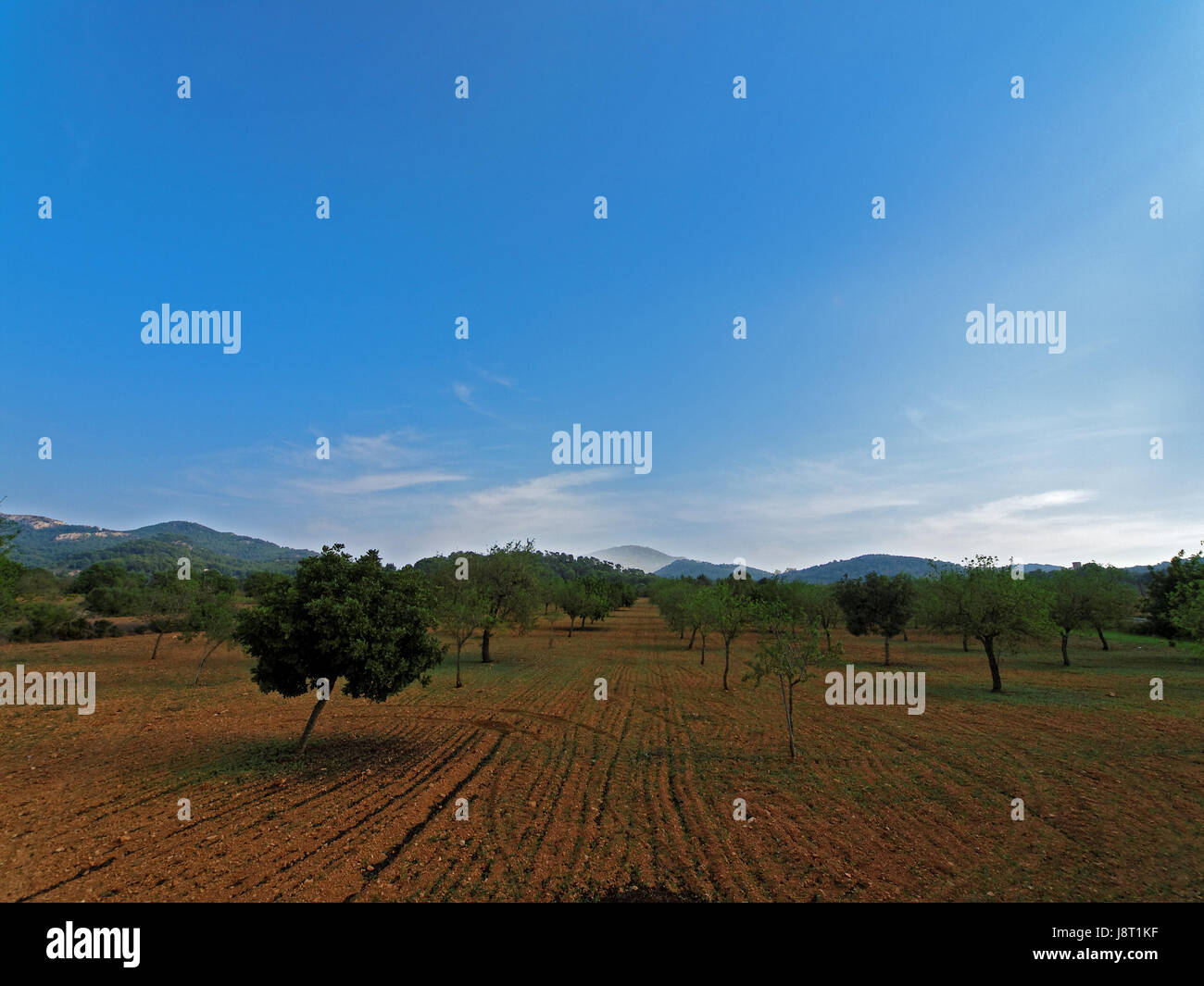 Mallorca terra rossa hi-res stock photography and images - Alamy