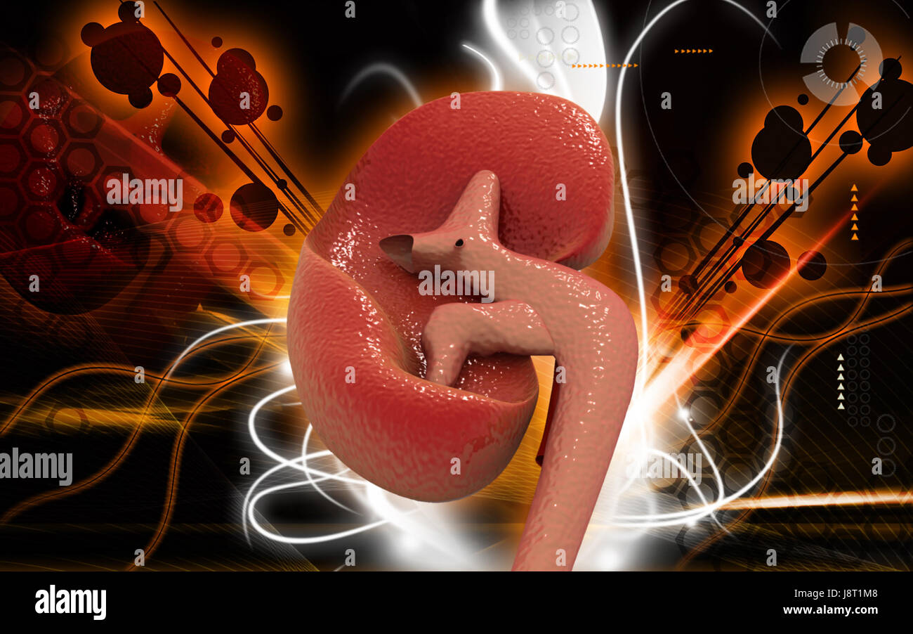 object, education, health, medicinally, medical, graphics, colour ...