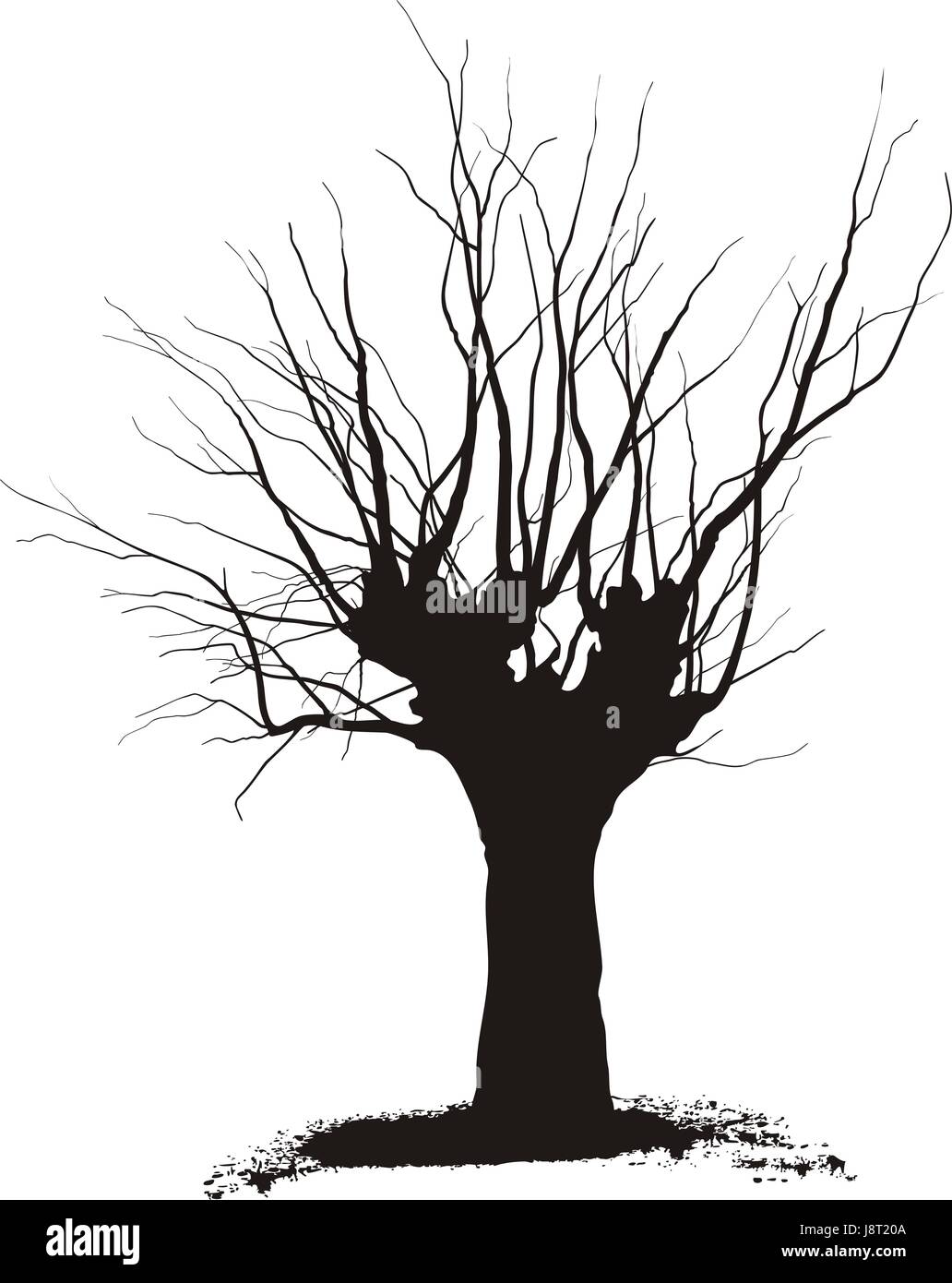 environment, enviroment, black, swarthy, jetblack, deep black, flora ...