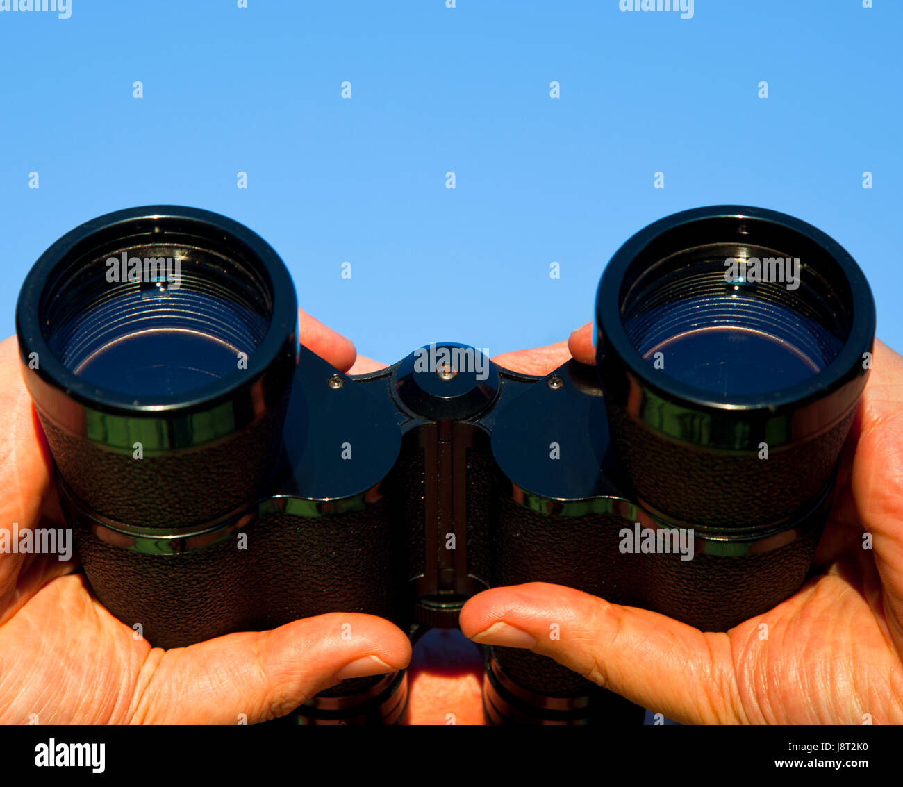 guy, beautiful, beauteously, nice, portrait, blank, european, caucasian ...