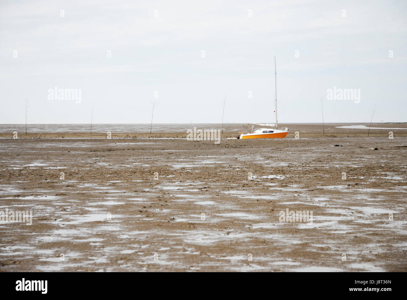 horizon, beach, seaside, the beach, seashore, coast, mud, calm, boat ...