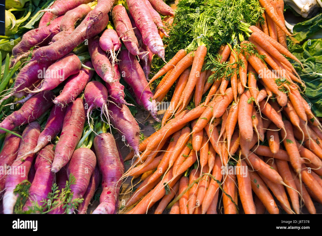 orange, green, vegetable, carrots, radish, red, radishes, orange, food ...
