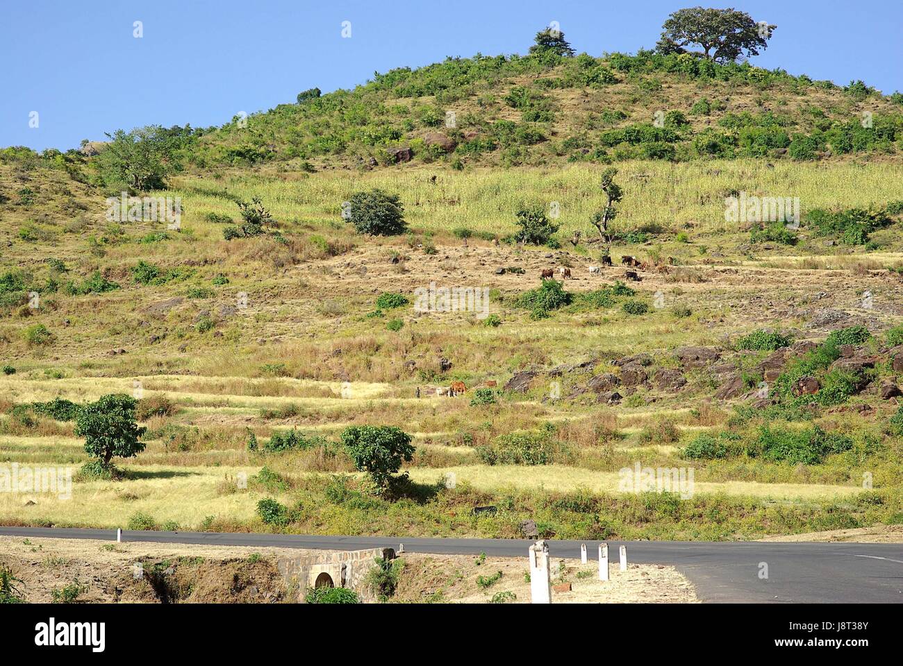 africa, landscape, scenery, countryside, nature, hill, wild, africa ...