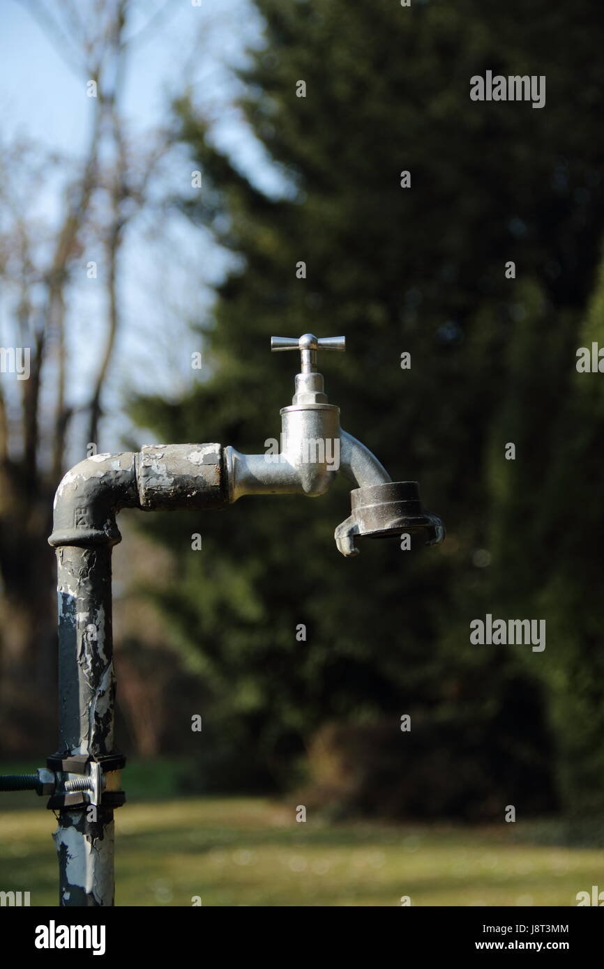 garden, tap, gardens, irrigate, water, nature, garden, tap, sanitary ...