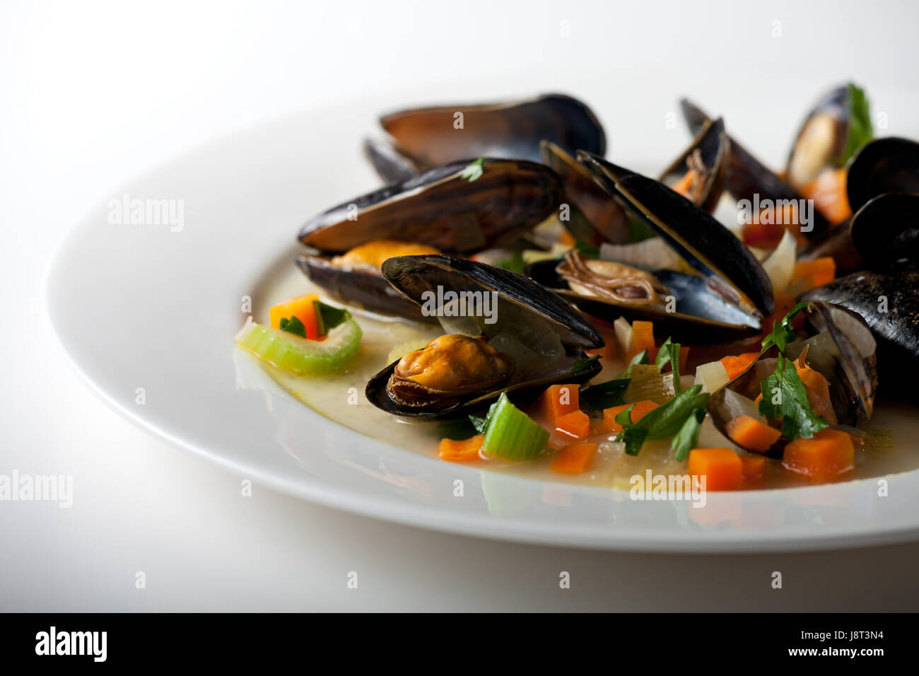 shell, plate, sauce, vegetable, carrot, mussel, sellery, celery, food ...