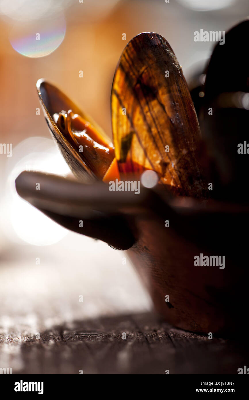 close up of a cooked mussel Stock Photo - Alamy