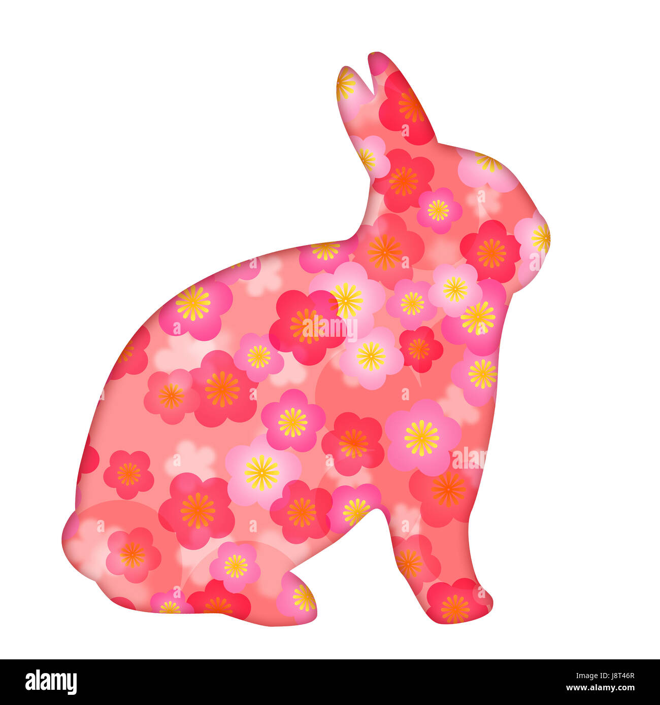 bloom, blossom, flourish, flourishing, flower, flowers, plant, spring ...