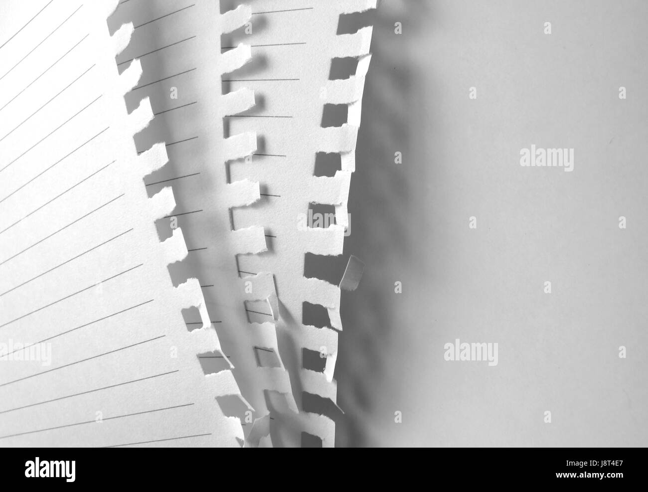 Blank space copy paste Black and White Stock Photos & Images - Alamy