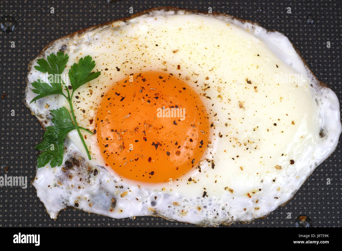 pepper, leaves, egg, spices, parsley, fried, foliage, food, breakfeast ...