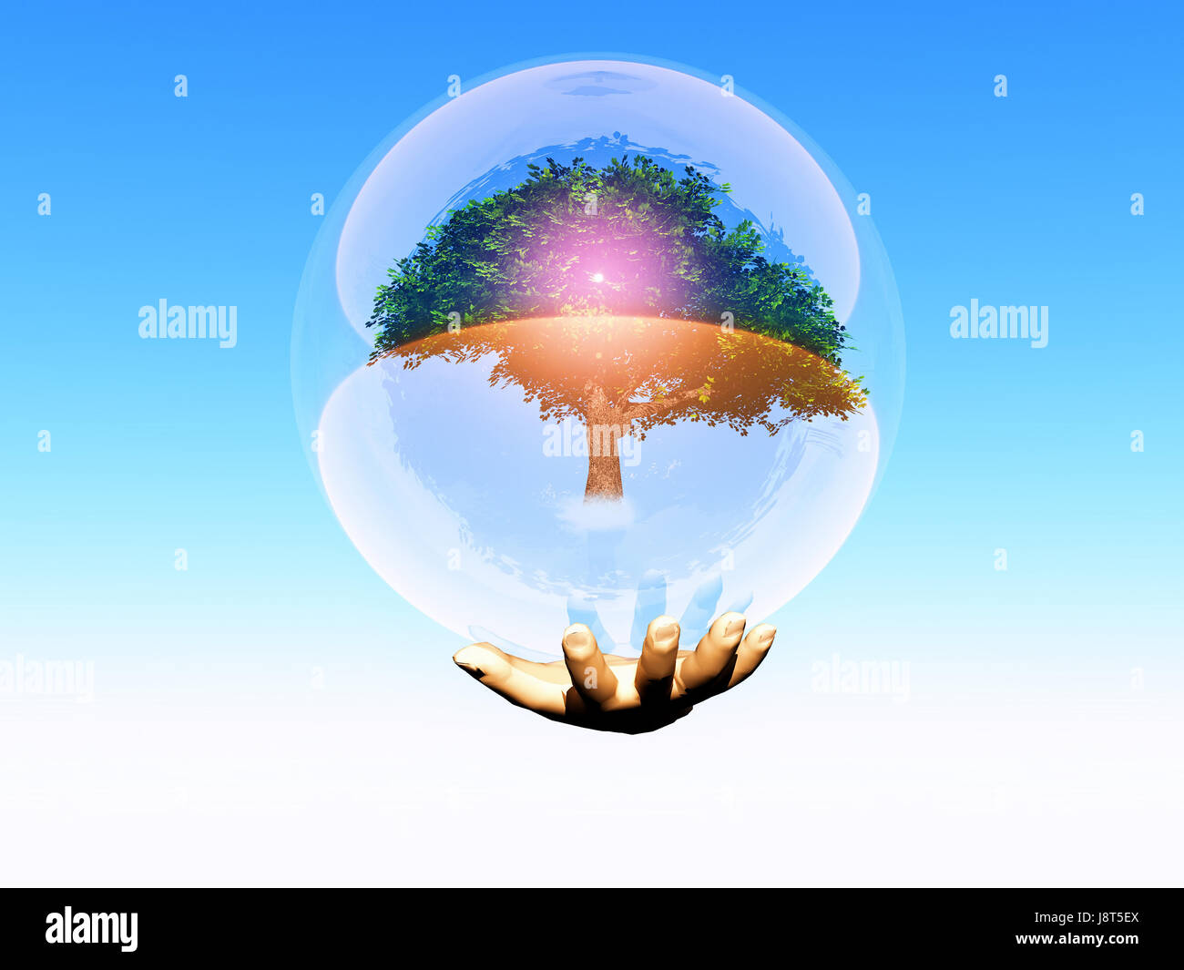 environment, enviroment, tree, ecology, sphere, sustainability ...