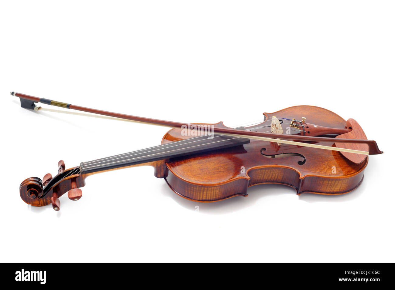 music, isolated, musical instrument, closeup, wood, studio, violin ...