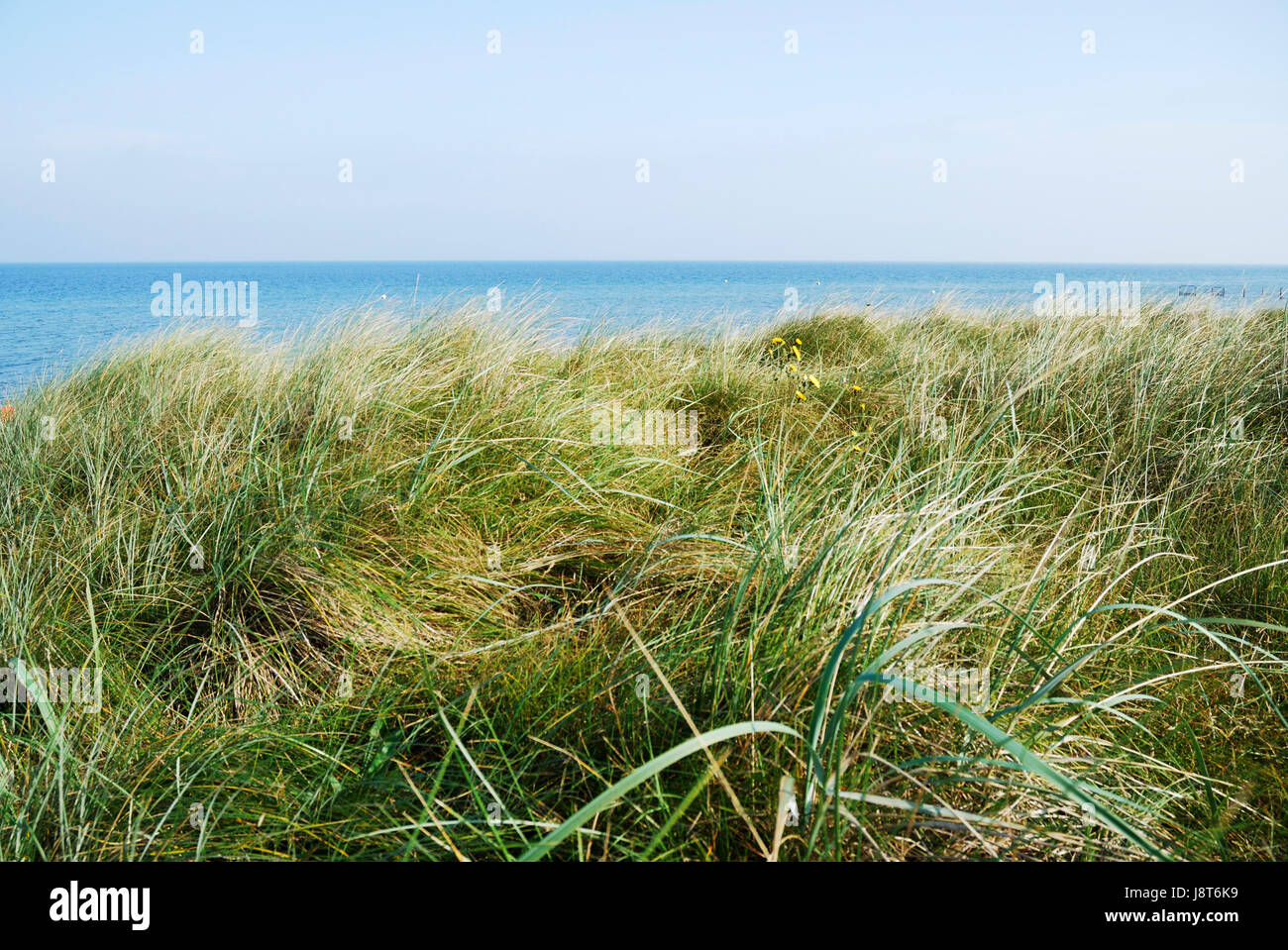 blue, beach, seaside, the beach, seashore, water, baltic sea, salt ...