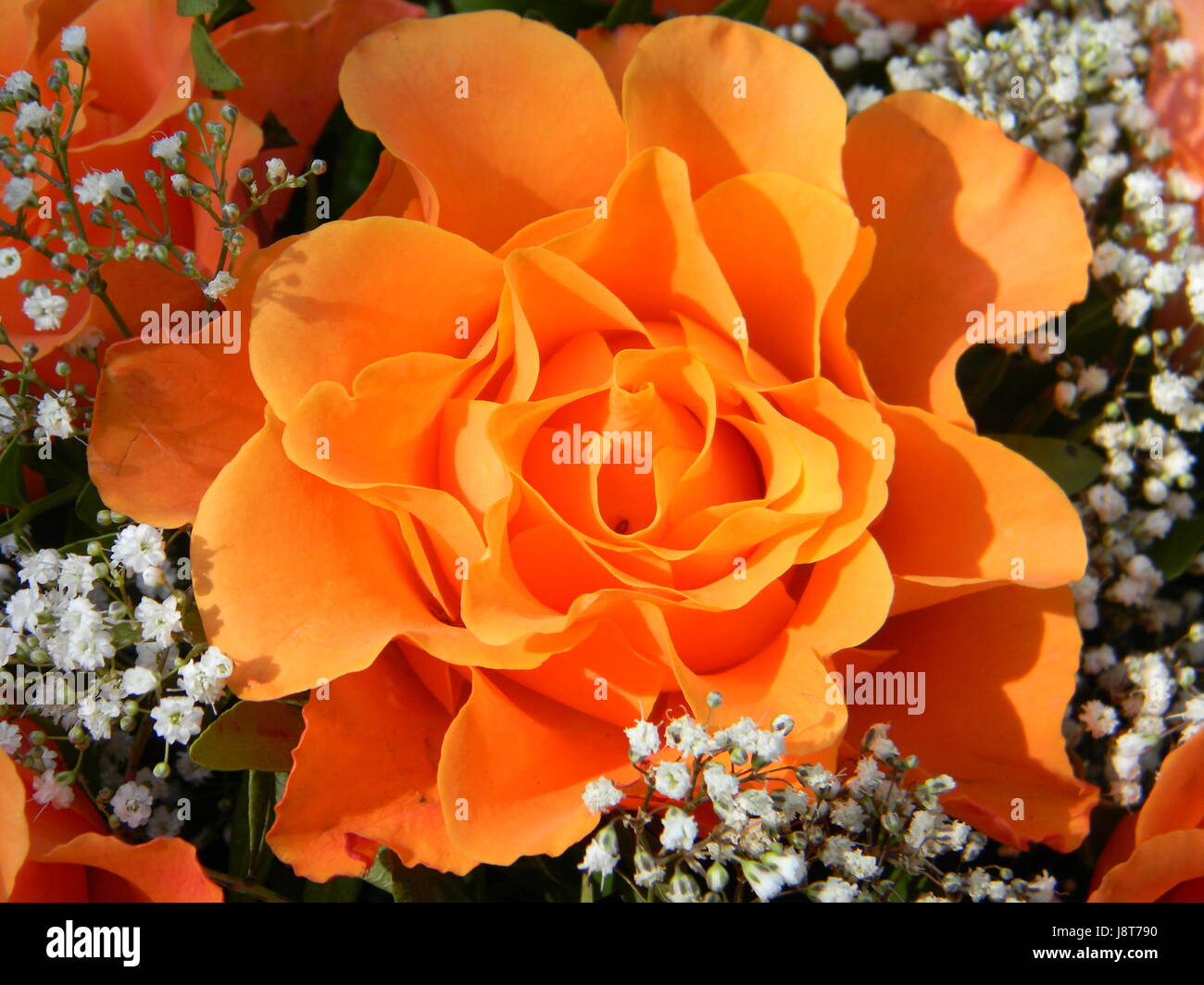 Wei foto hi-res stock photography and images - Alamy