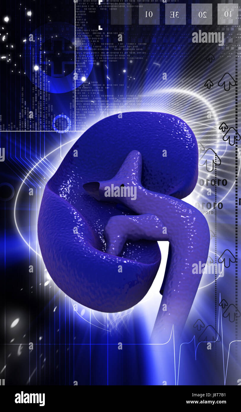 object, education, health, medicinally, medical, graphics, colour ...