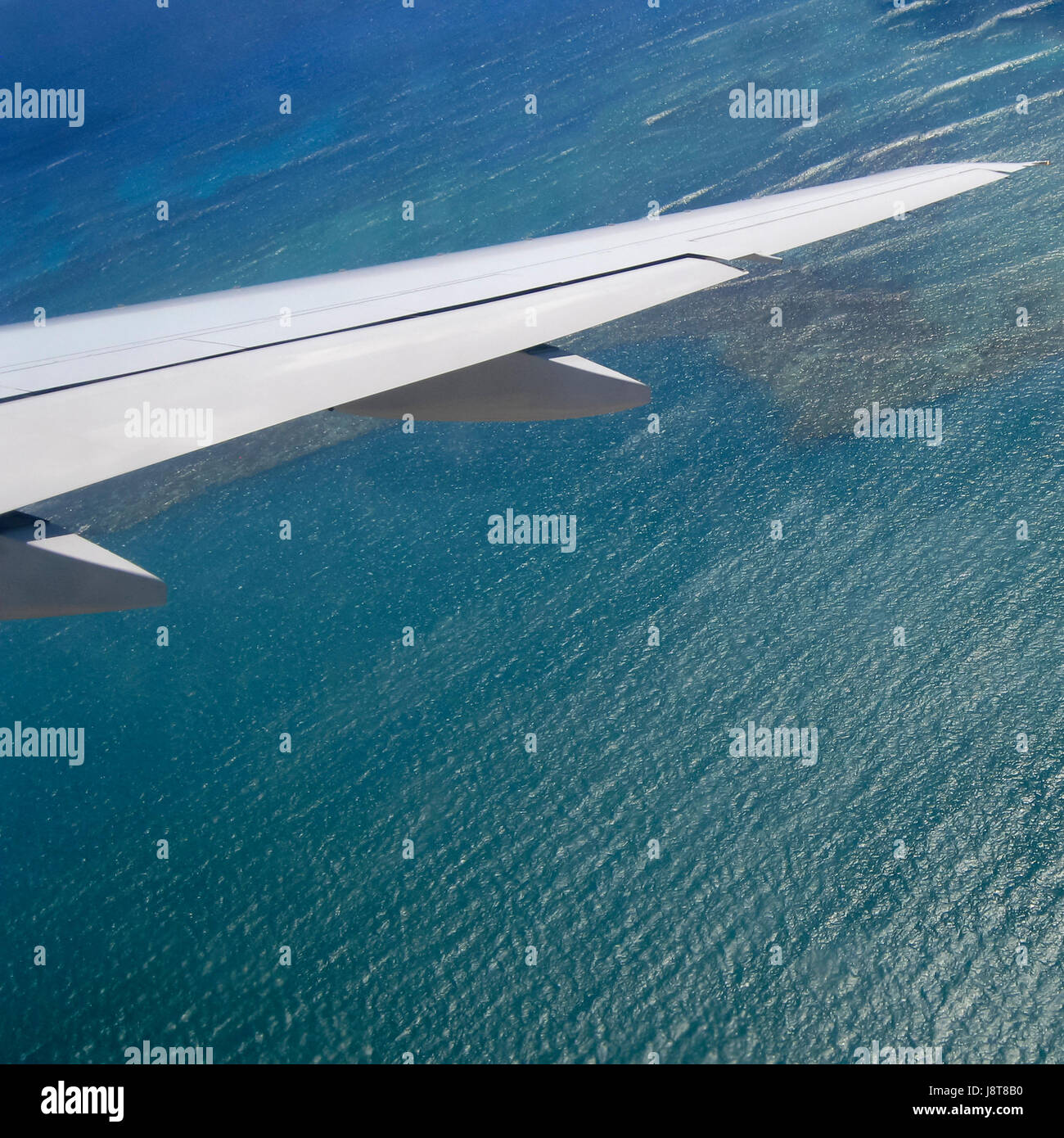 flight, wing, aircraft, aeroplane, plane, airplane, salt water, sea ...