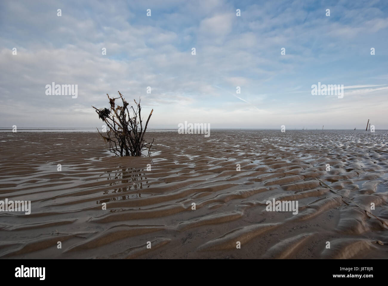 water, north sea, salt water, sea, ocean, watt, mud flats, low tide ...
