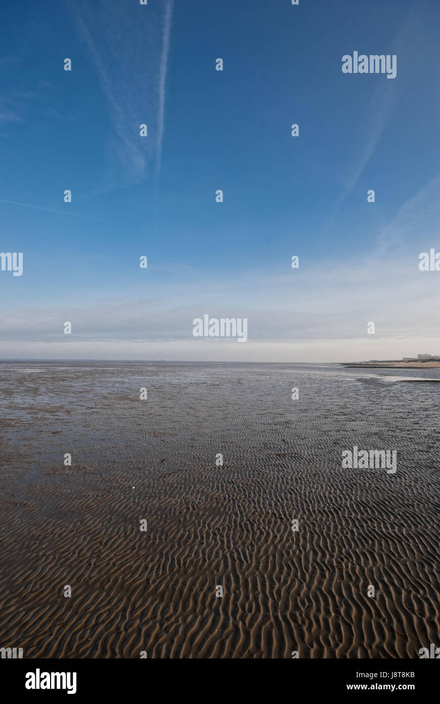 beach, seaside, the beach, seashore, water, north sea, salt water, sea ...