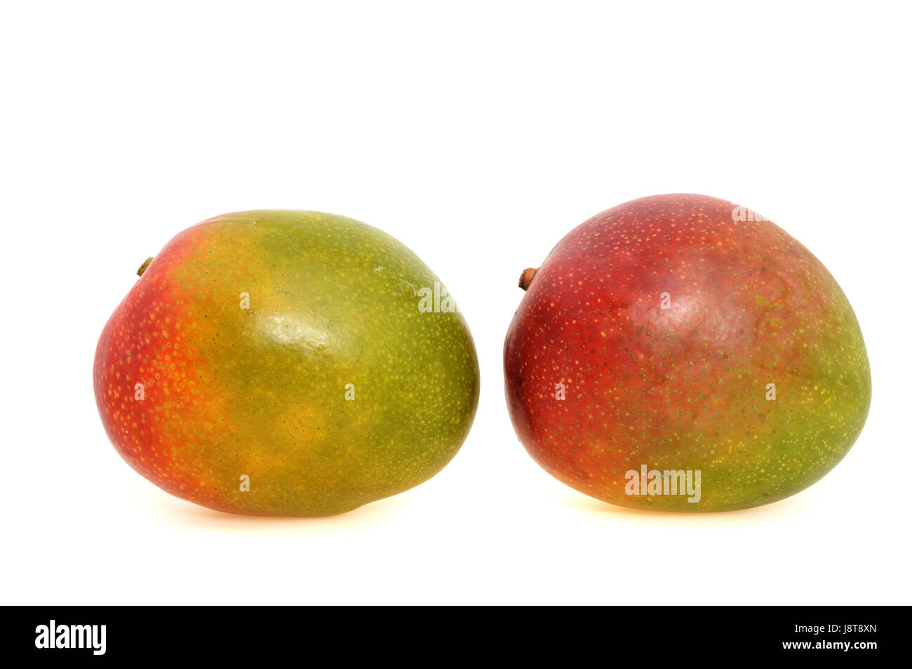 green, ripe, lie, lying, lies, immature, infantile, childish, hoarfrost ...