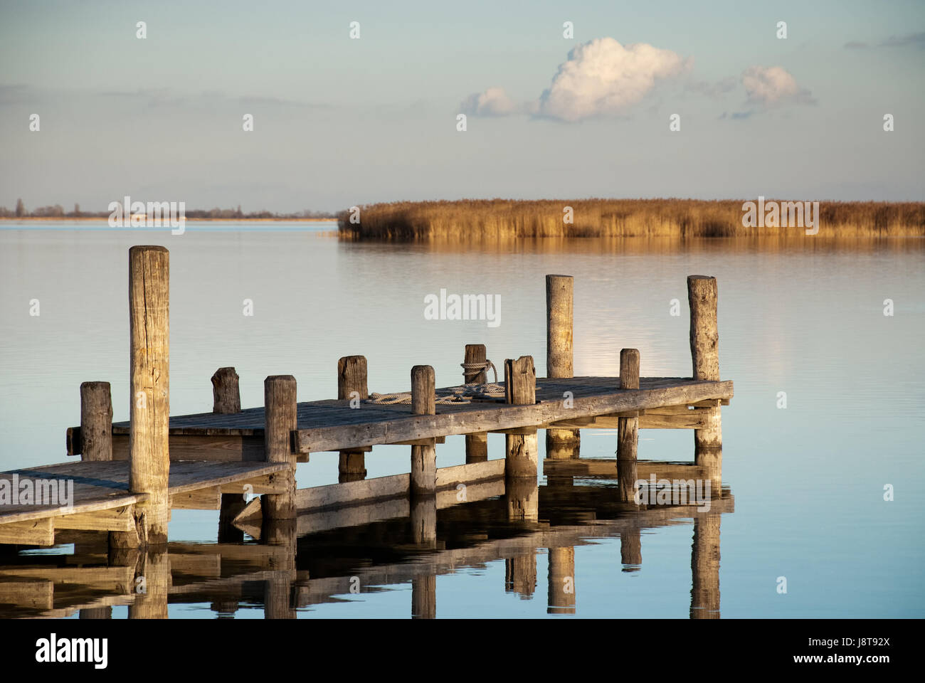 bridge, landing stage, fresh water, lake, inland water, water, reed ...