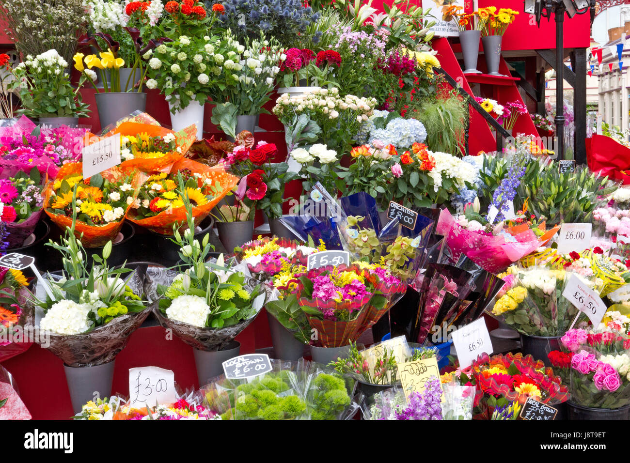 Selection of flowers hi-res stock photography and images - Alamy