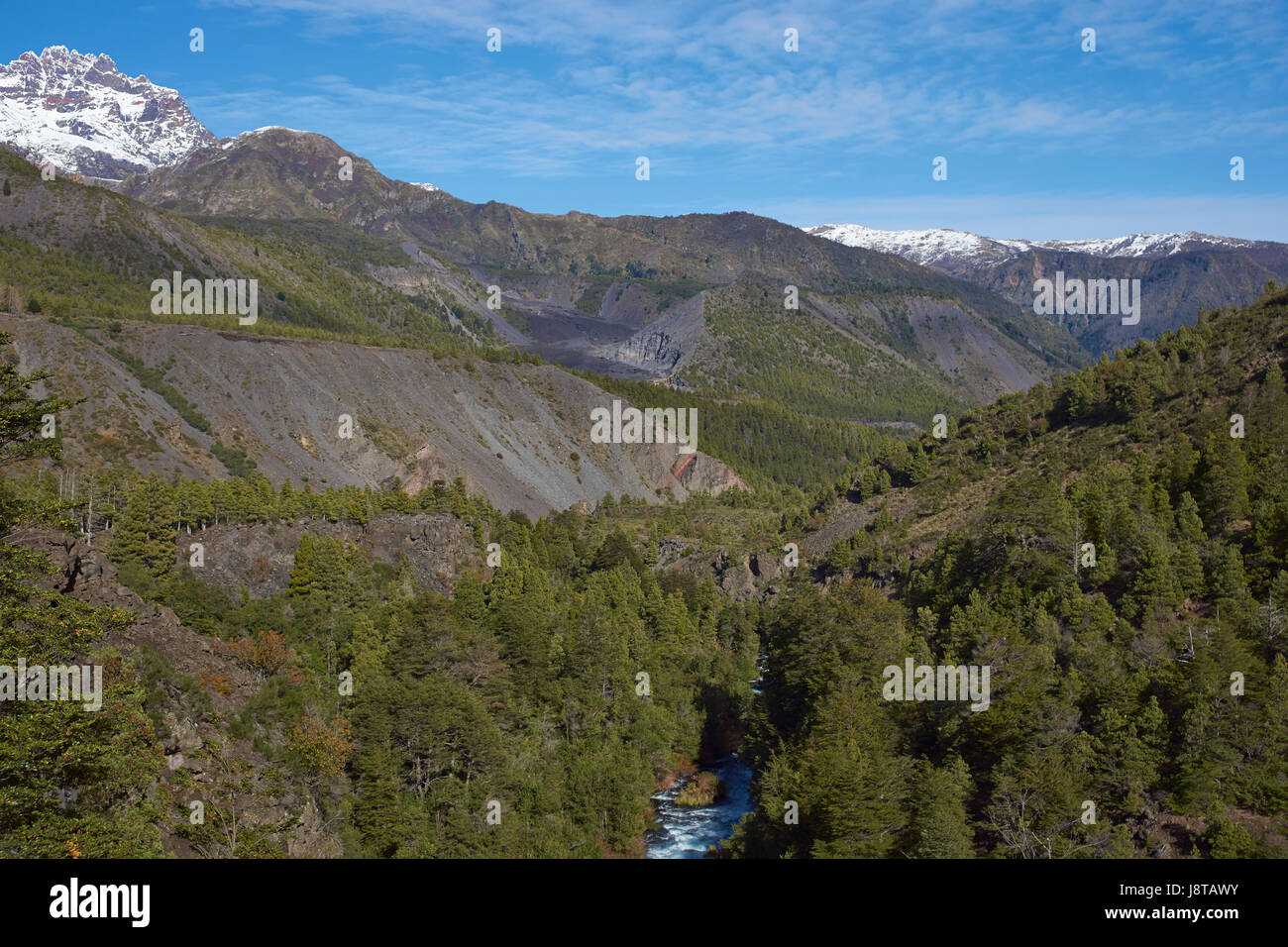 Forested valley of the River Laja as it flows through Laguna de Laja ...