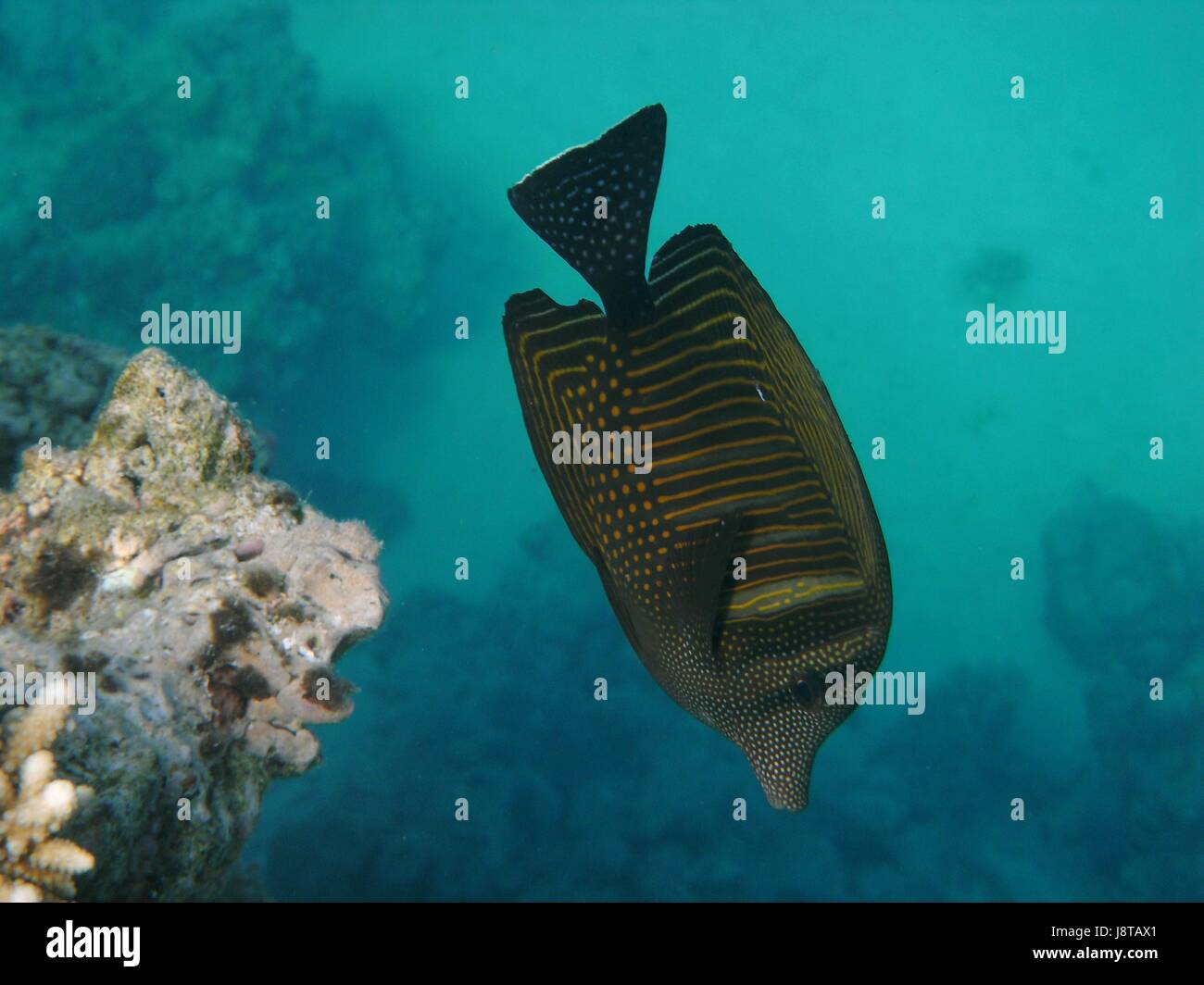 Makadybay hi-res stock photography and images - Alamy