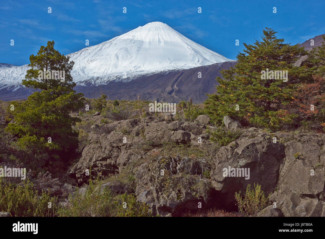 Snow capped peak of Antuco Volcano (2,979 metres) rising above a ...
