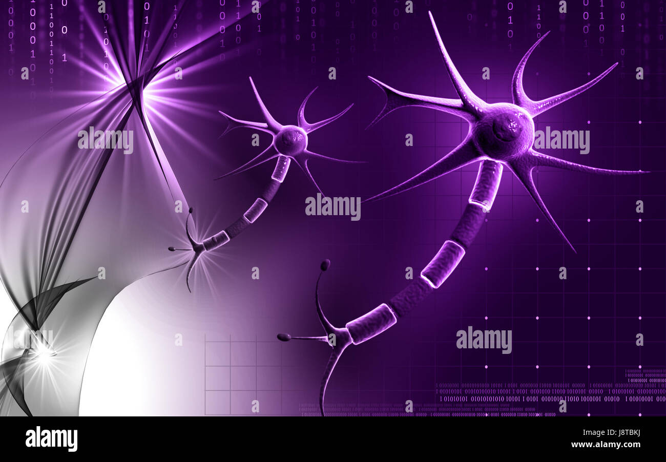 education, medicinally, medical, graphics, colour, science ...