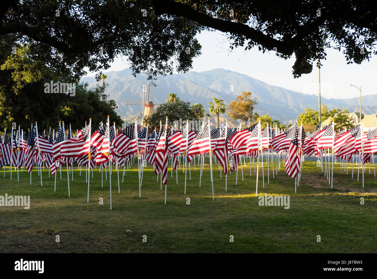 Many American Flags Stock Photo - Alamy