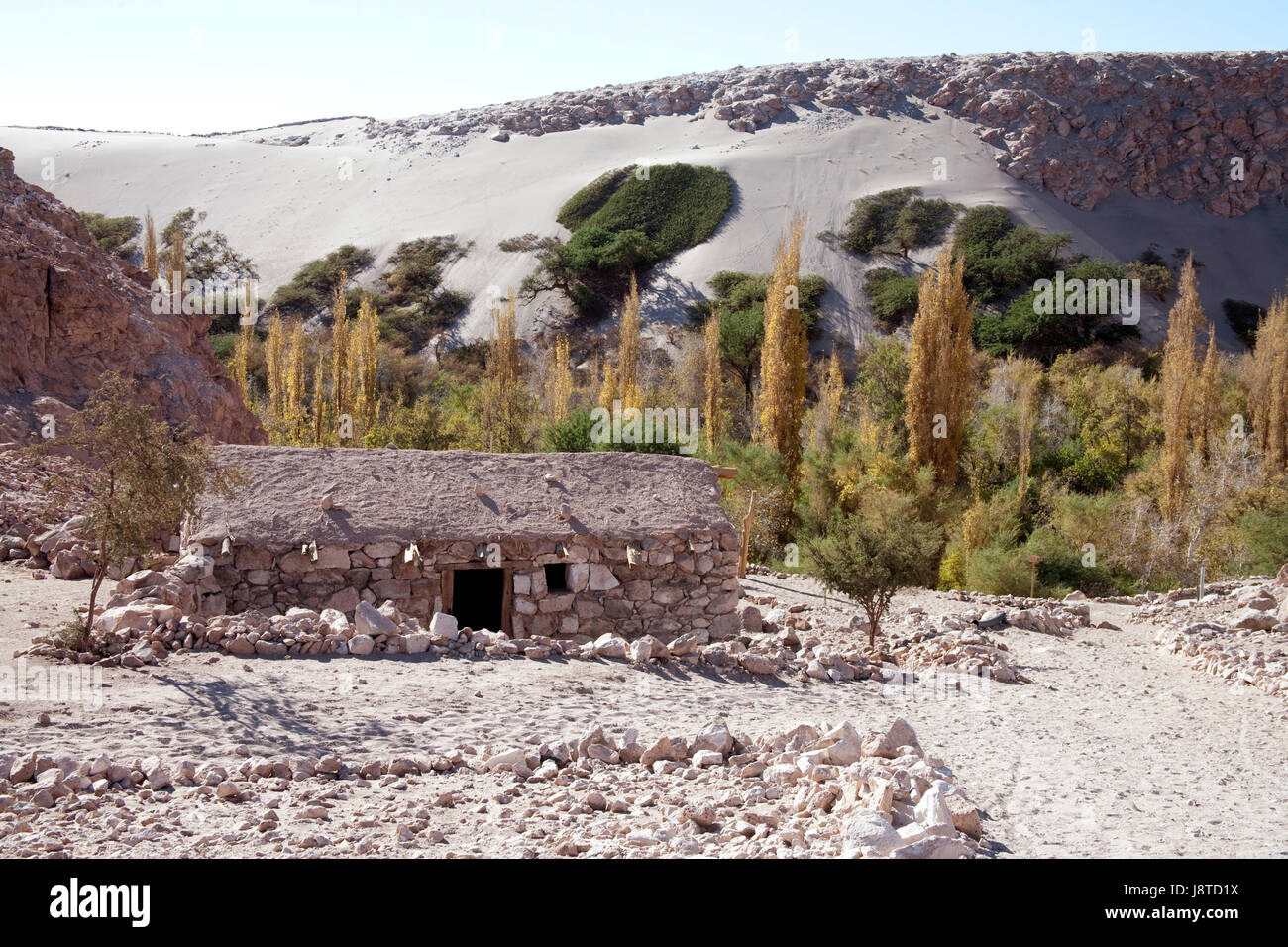 desert, wasteland, american, oasis, chile, tradition, chilean ...