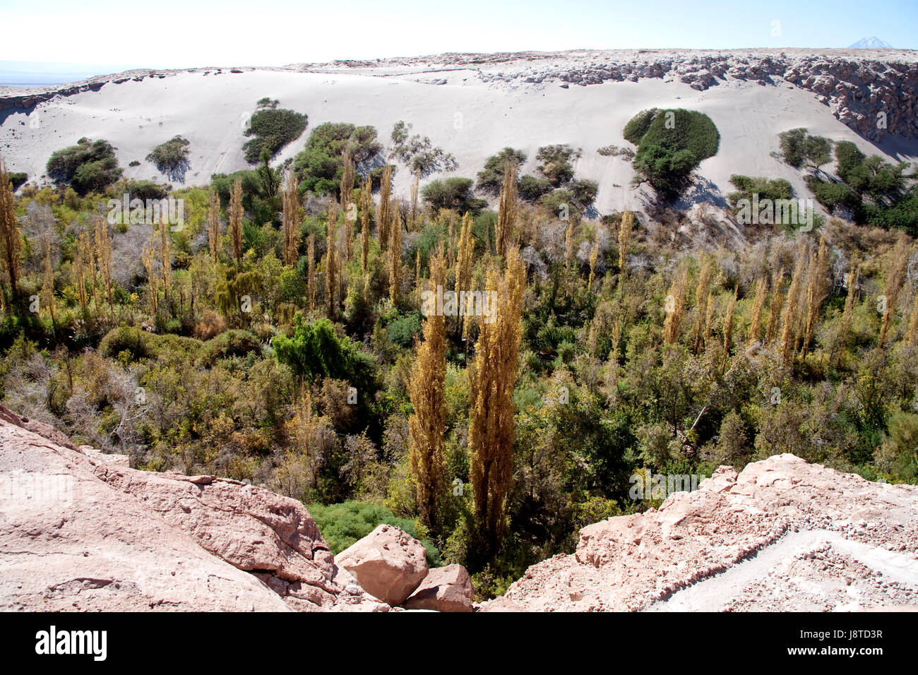 desert, wasteland, american, oasis, chile, tradition, chilean ...