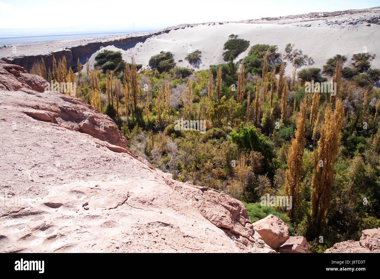 desert, wasteland, american, oasis, chile, tradition, chilean ...