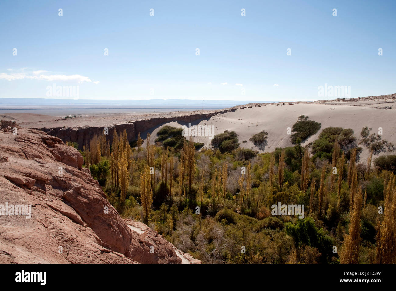 desert, wasteland, american, oasis, chile, tradition, chilean ...