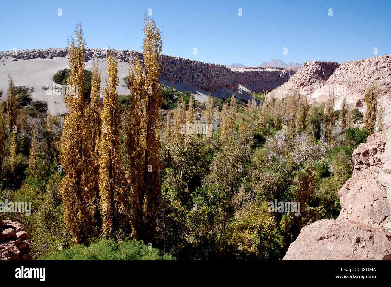 desert, wasteland, american, oasis, chile, tradition, chilean ...