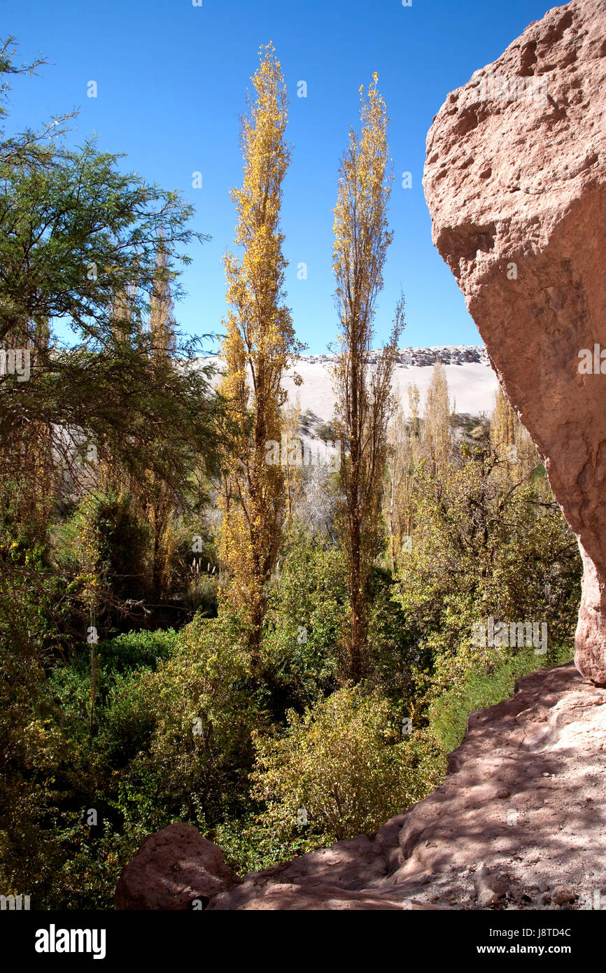 Amrican indians hi-res stock photography and images - Alamy